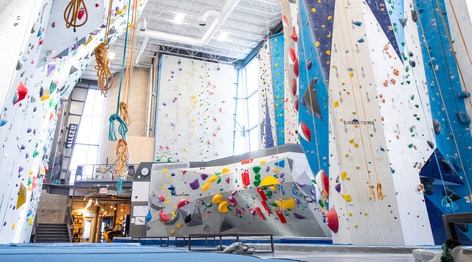 Allez Up Escalade | Our Projects | Moog Audio