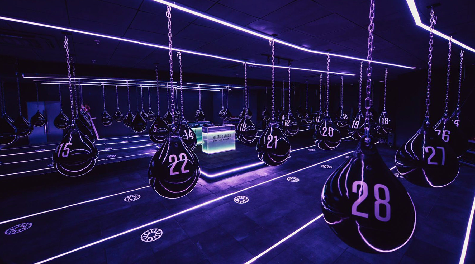 Boxxing Studio Montreal | Our Projects | Moog Audio Pro